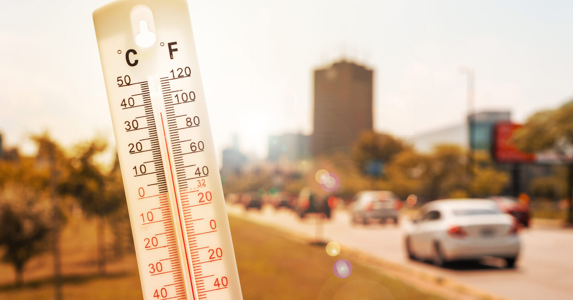 Hitzeschutz | Stadt Rüsselsheim